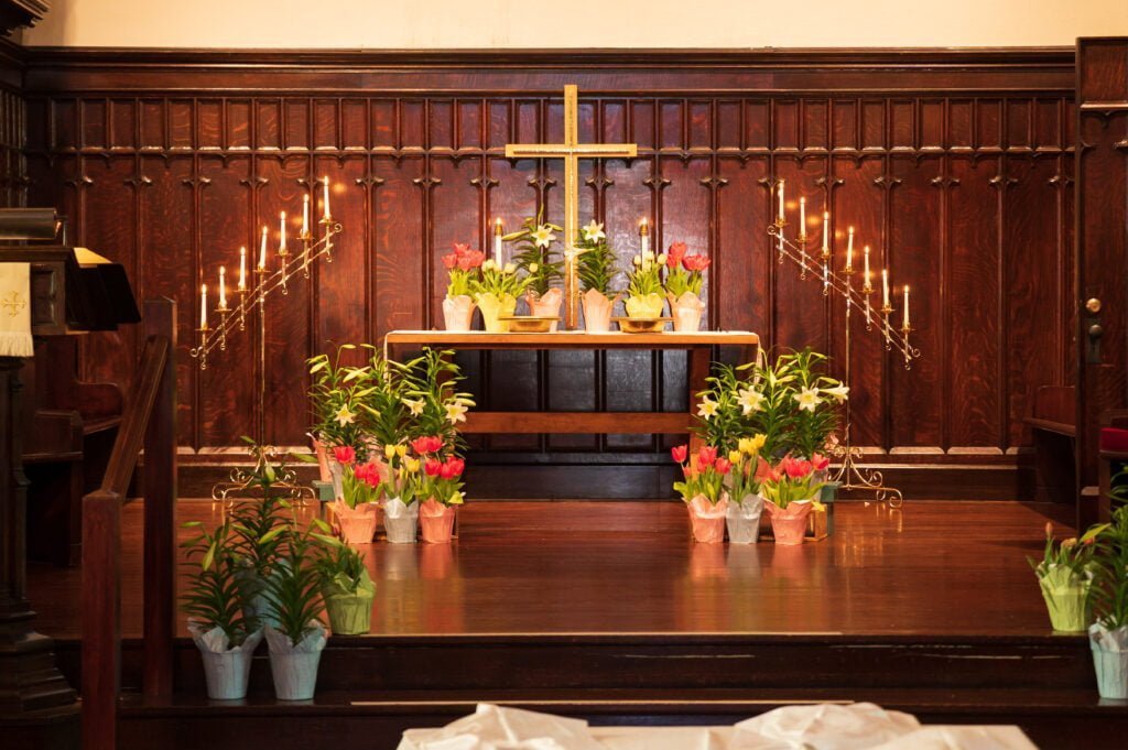 NHCC welcomes new members Tann Scott and Lynn Shields - NHCC